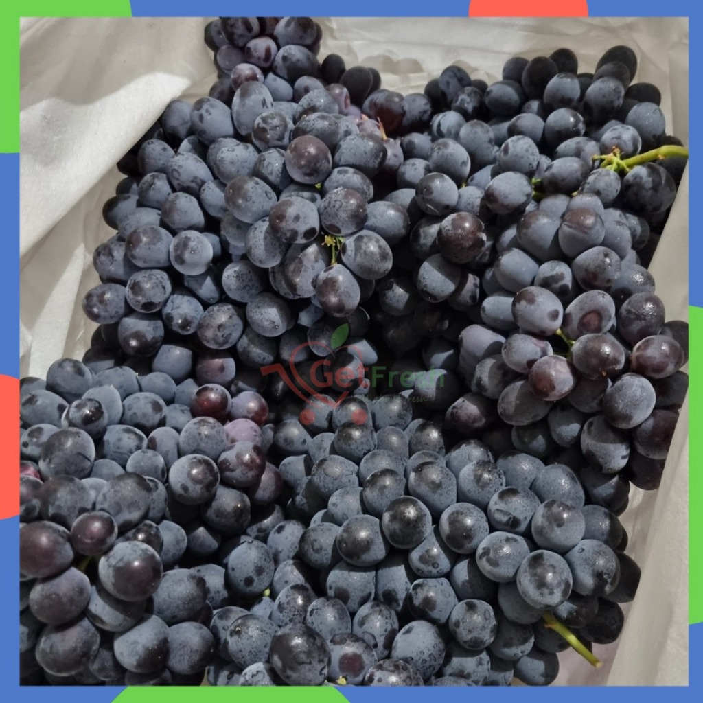 Jual Anggur Autumn Seedless Keranjang 6 Kg | Shopee Indonesia