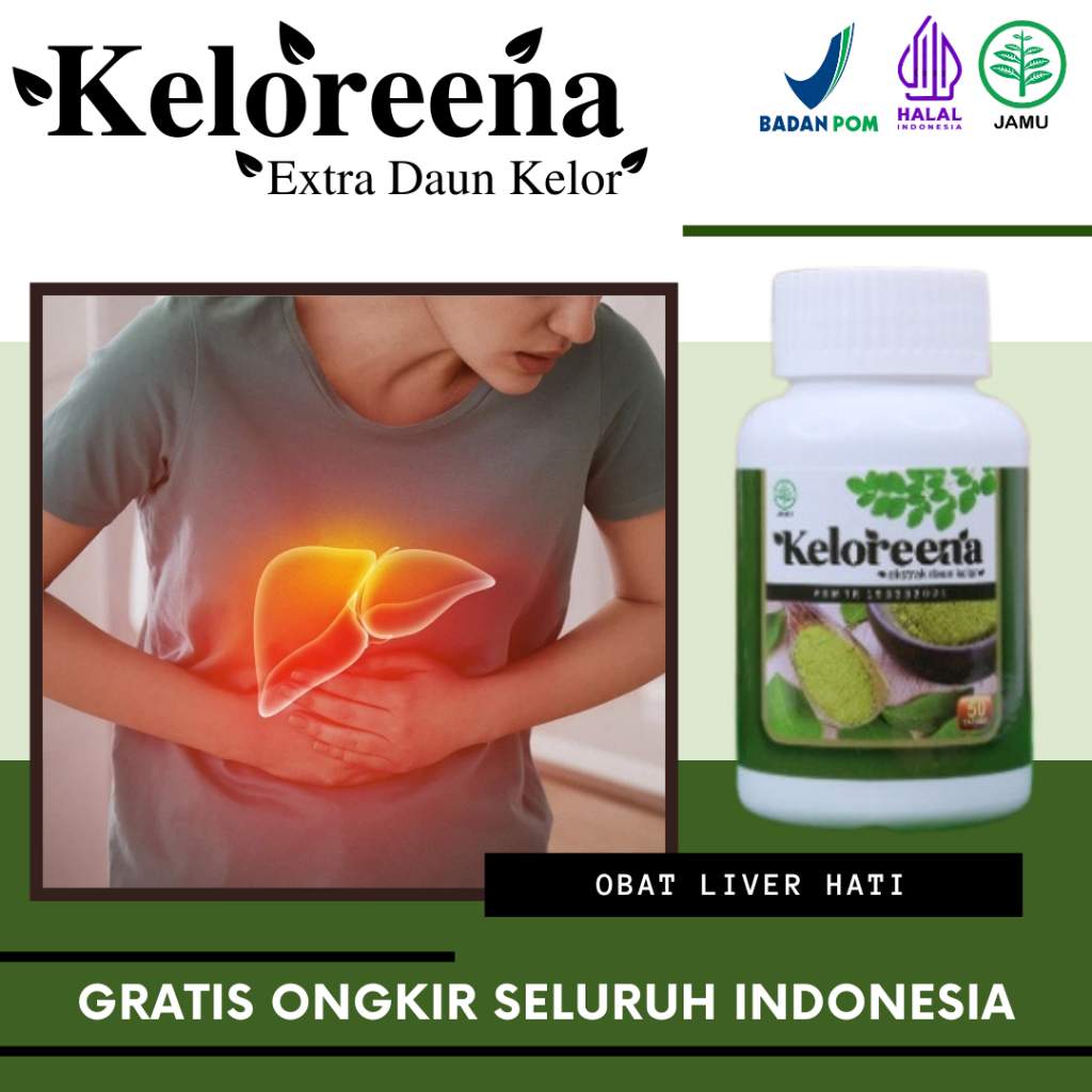 Jual Obat Liver Hati, Hepatitis A B C, Liver Bengkak, Perlemakan Hati ...