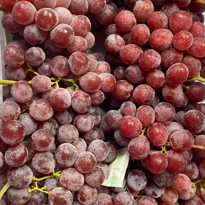 Jual Buah Anggur Merah Red Globe Anggur Red Globe KG | Shopee Indonesia