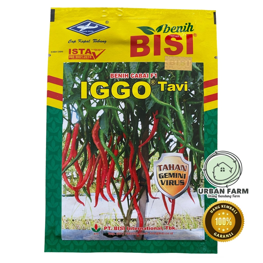 Jual Benih Cabai F1 IGGO TAVI 10gram - Cap Kapal Terbang - Benih Cabai Keriting Hibrida | Shopee ...