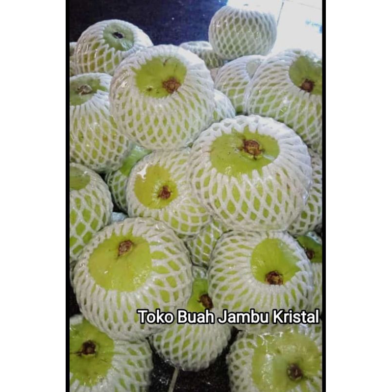 Jual BUAH JAMBU KRISTAL SPEK MARKET KUALITAS SUNPRIDE GUAVA CRYSTAL ...