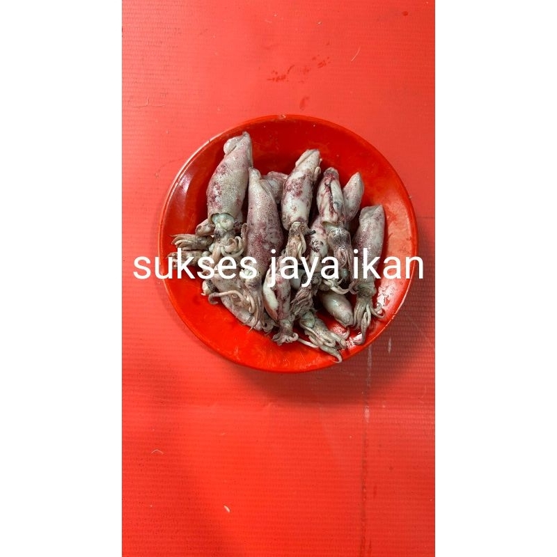 Jual cumi rebus super besar tersedia 250g, 500g , 1000g | Shopee Indonesia