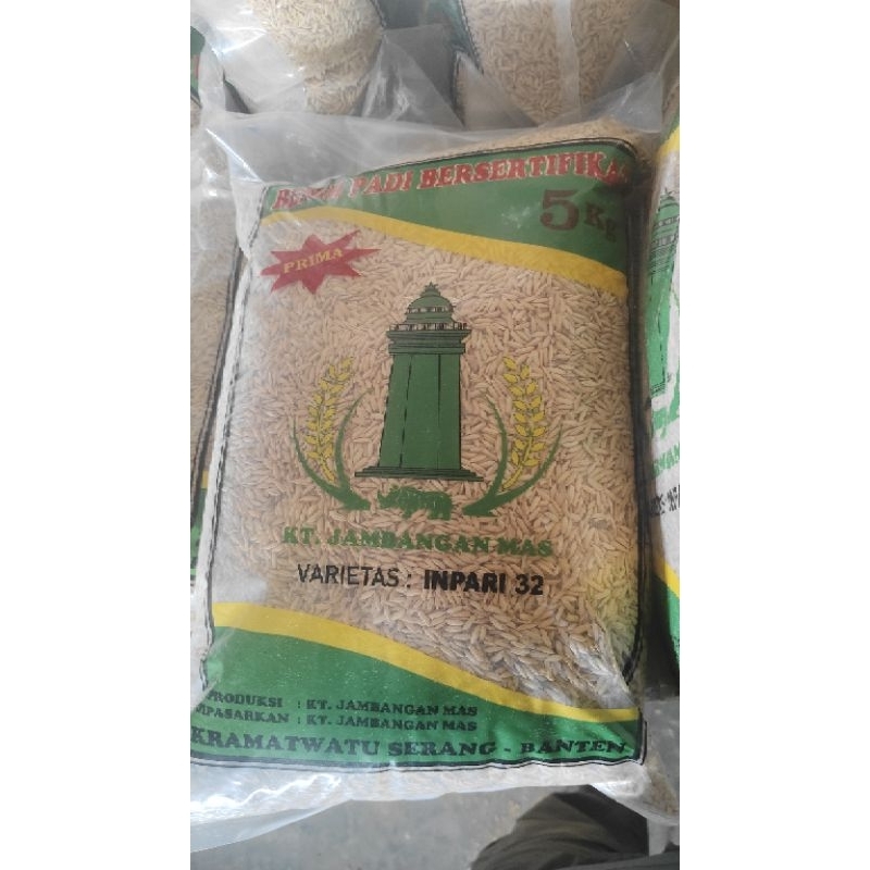 Jual Benih Padi INPARI 32 (Bersertifikat) isi 5Kg | Label Ungu & Label Biru | Shopee Indonesia