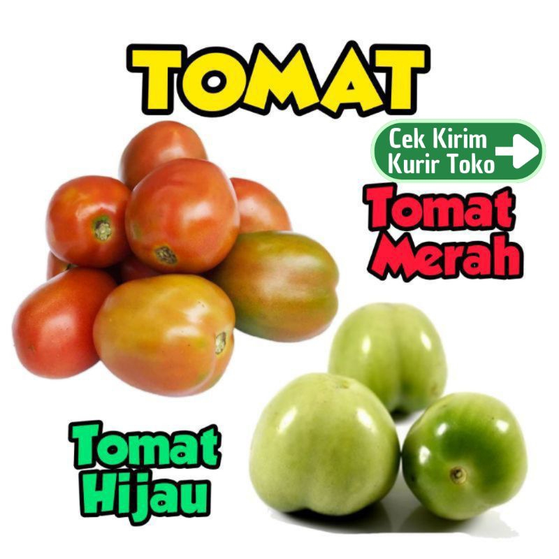 Jual Tomat Merah dan Tomat Hijau - Sayur Sayuran Segar Aneka Masakan - TemuPawon | Shopee Indonesia