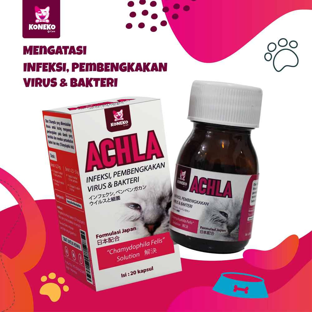 Jual Obat Kucing Infeksi Clamidia Mata bengkak infeksi mata kucing ...
