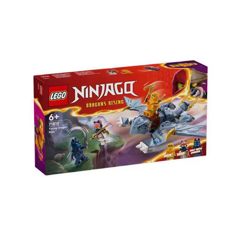 Jual LEGO® Ninjago Young Dragon Riyu - 71810 | Shopee Indonesia