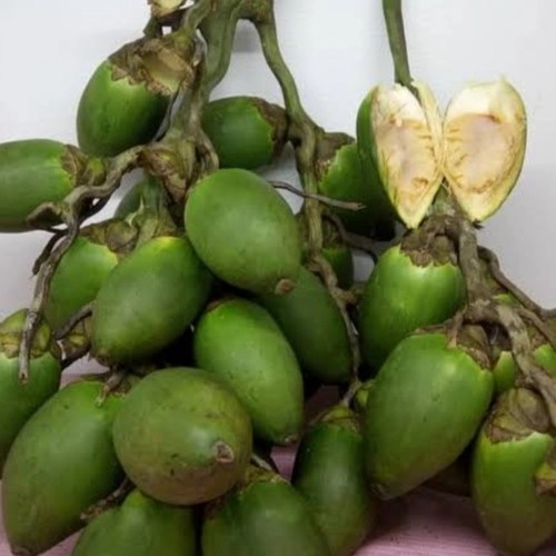 Jual PINANG MUDA / JAMBE MUDA SEGAR FRESH | Shopee Indonesia
