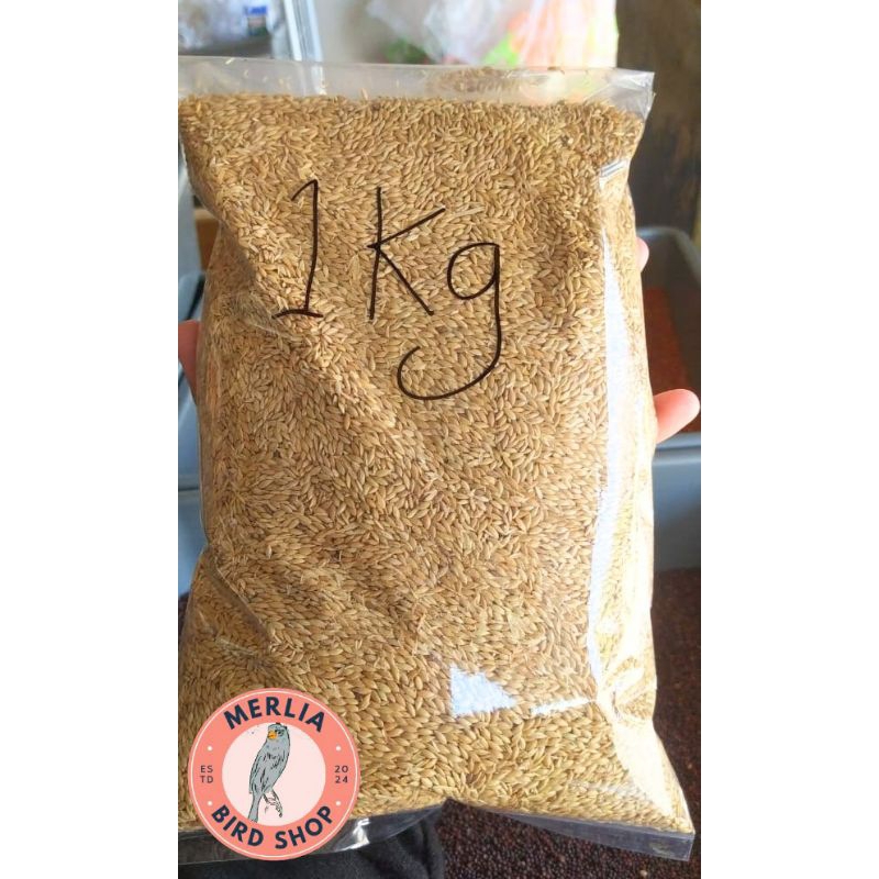 Jual Kenari seed/Kenari set/canary seed/Biji Kenari Pakan Burung Kenari ...