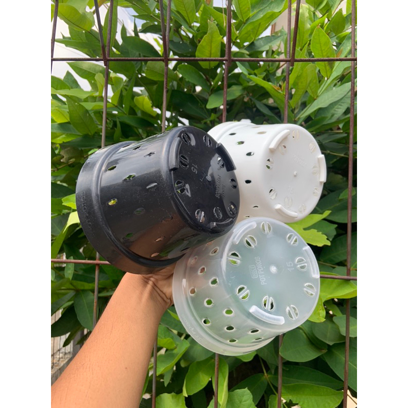 Jual POT POROS : pot bunga banyak lubang bolong bolong poros 15 pot ...
