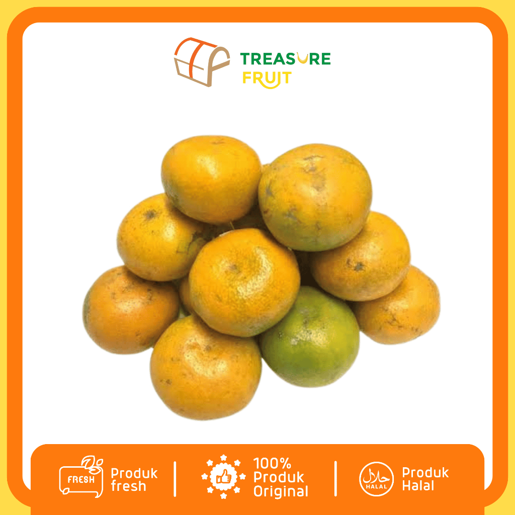 Jual JERUK MEDAN Kualitas Premium I Treasure Fruit - Buah Sehat dan ...