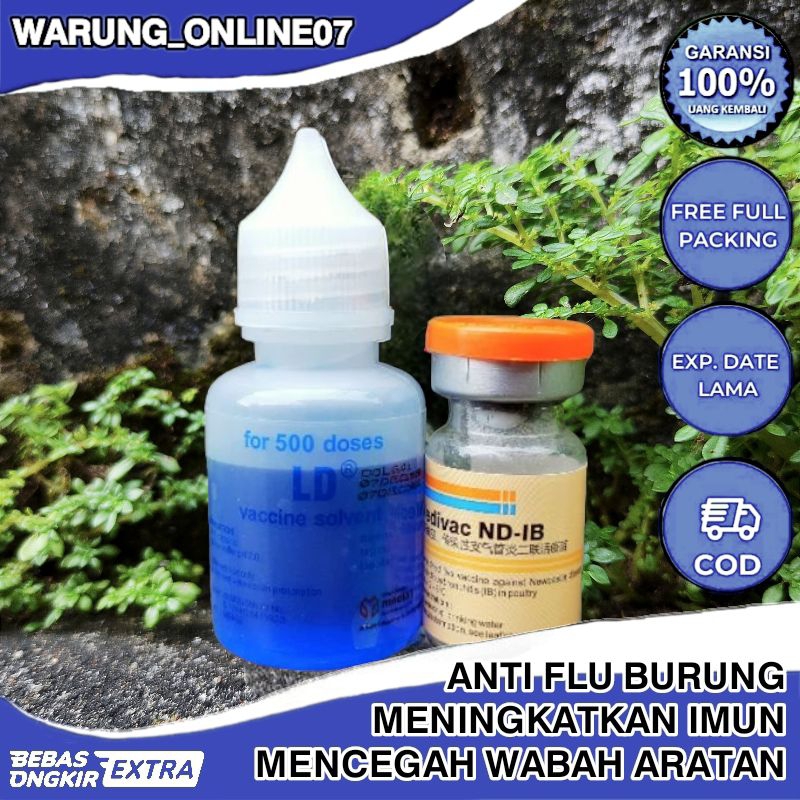 Jual Vaksin Medivac ND - IB Dosis 500 Ekor Kualitas Terjamin Mencegah ...