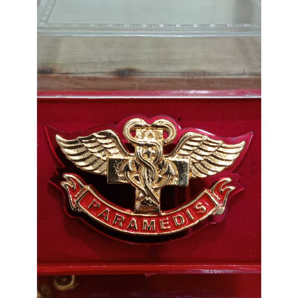 Jual WING PARA MEDIS/ PIN PARA MEDIS, BREVET PARA MEDIS PAKAI AKRELIK ...