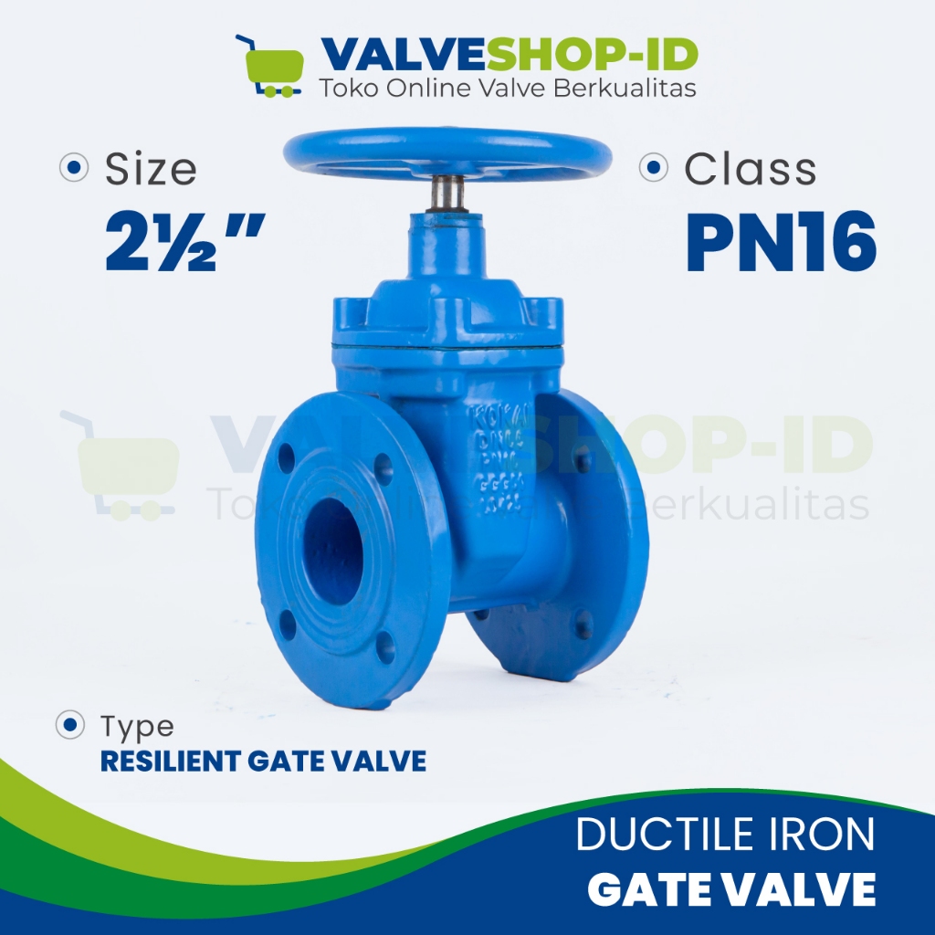 Jual Resilient Gate Valve 2 1/2" Inch PN16 Ductile Iron GGG50 | Shopee ...