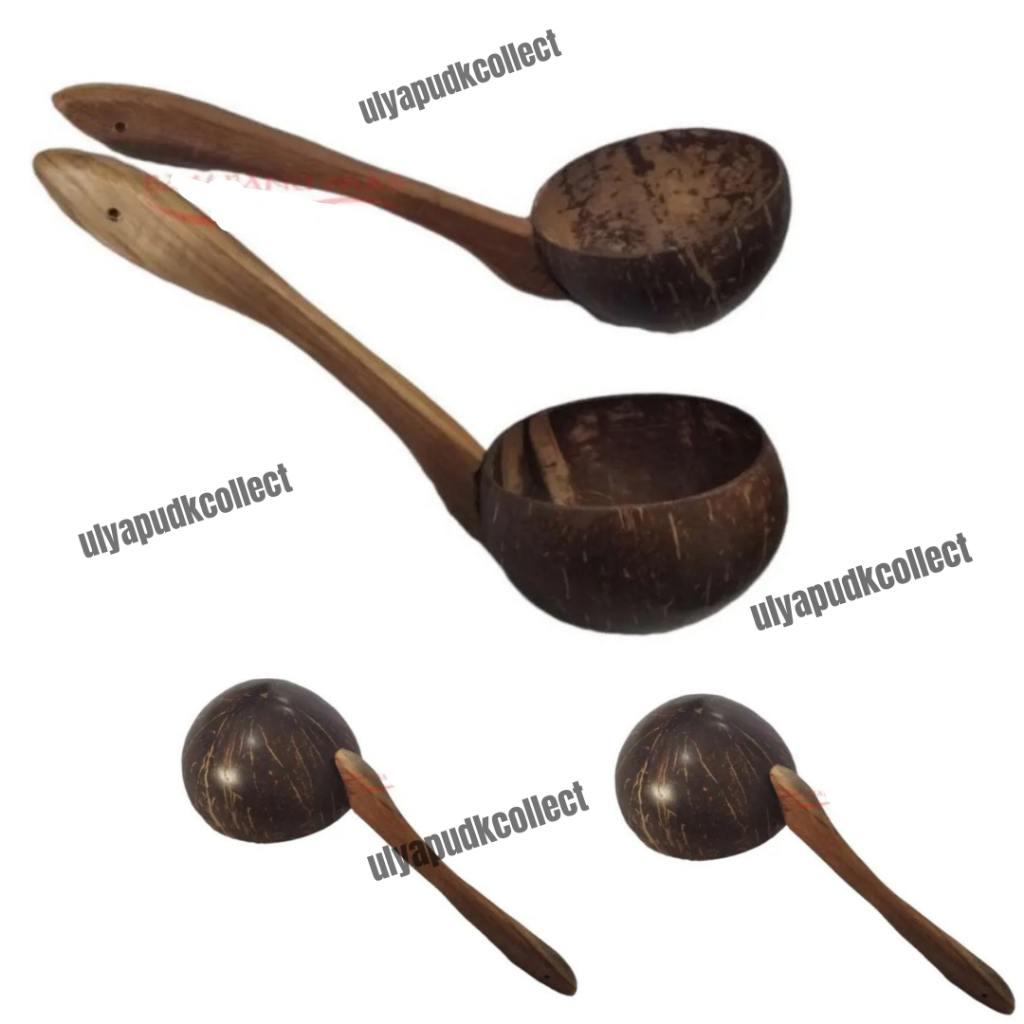 Jual Gayung Batok Gagang Kayu / Siwur batok kelapa ukuran jumbo ...