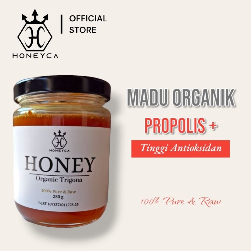 Jual Madu Asli (Raw Honey) Klanceng Hutan / Madu Trigona / Madu Organik | Shopee Indonesia