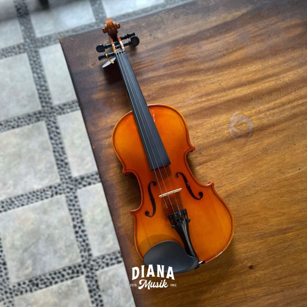 Jual Satu Set Biola / Violin Ukuran 3/4 Skylark MV007 / MV 007 | Shopee ...