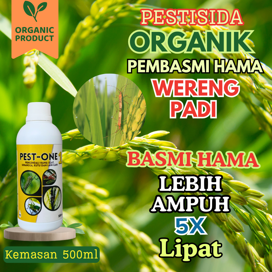 Jual Obat Hama tanaman Padi / Pestisida Organik untuk semua tanaman ...