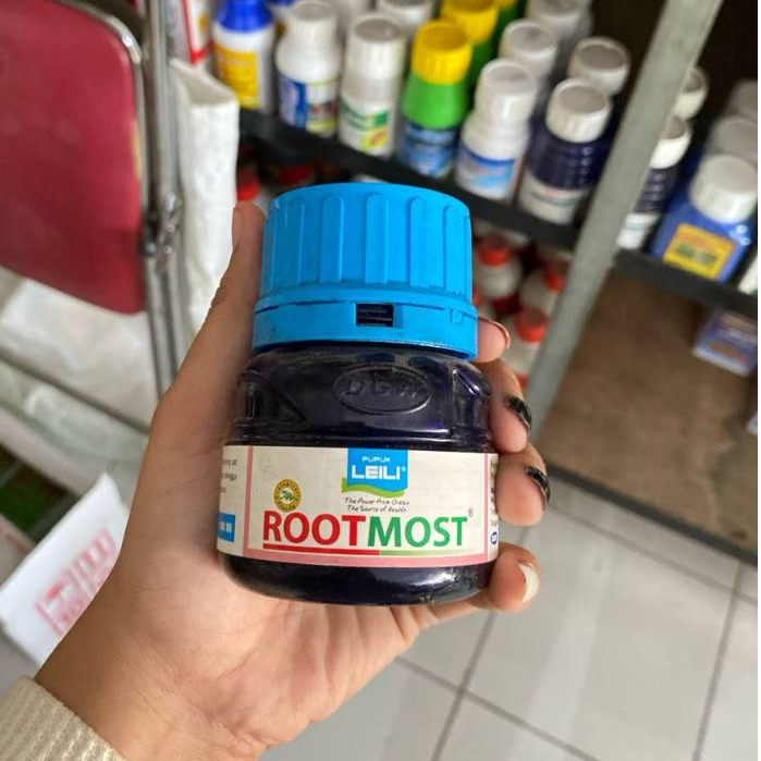 Jual Nutrisi Akar ROOTMOST - 100ml Hormon Perangsang Pertumbuhan Akar ...