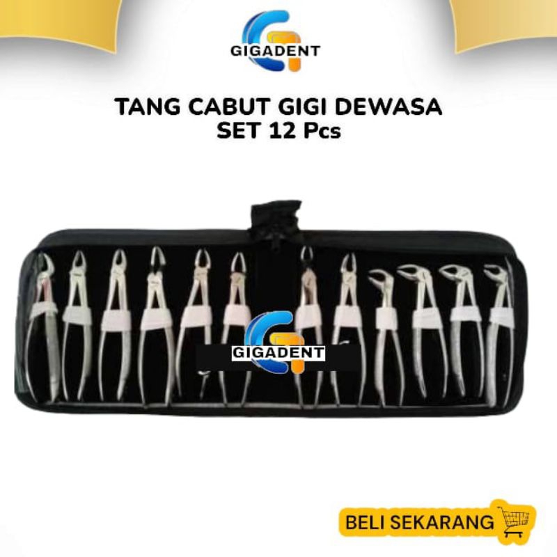 Jual 12 Pcs TANG CABUT GIGI DEWASA / TOTH FORCEPT ADULT SET | Shopee ...
