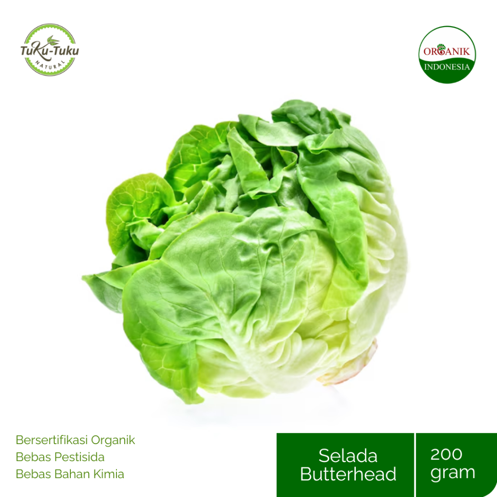 Jual SELADA BUTTERHEAD ORGANIK BSP FARM 200GR | Shopee Indonesia