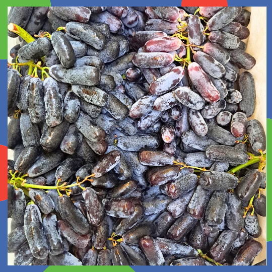 Jual Anggur Sapphire Seedless Berat 5kg | Shopee Indonesia