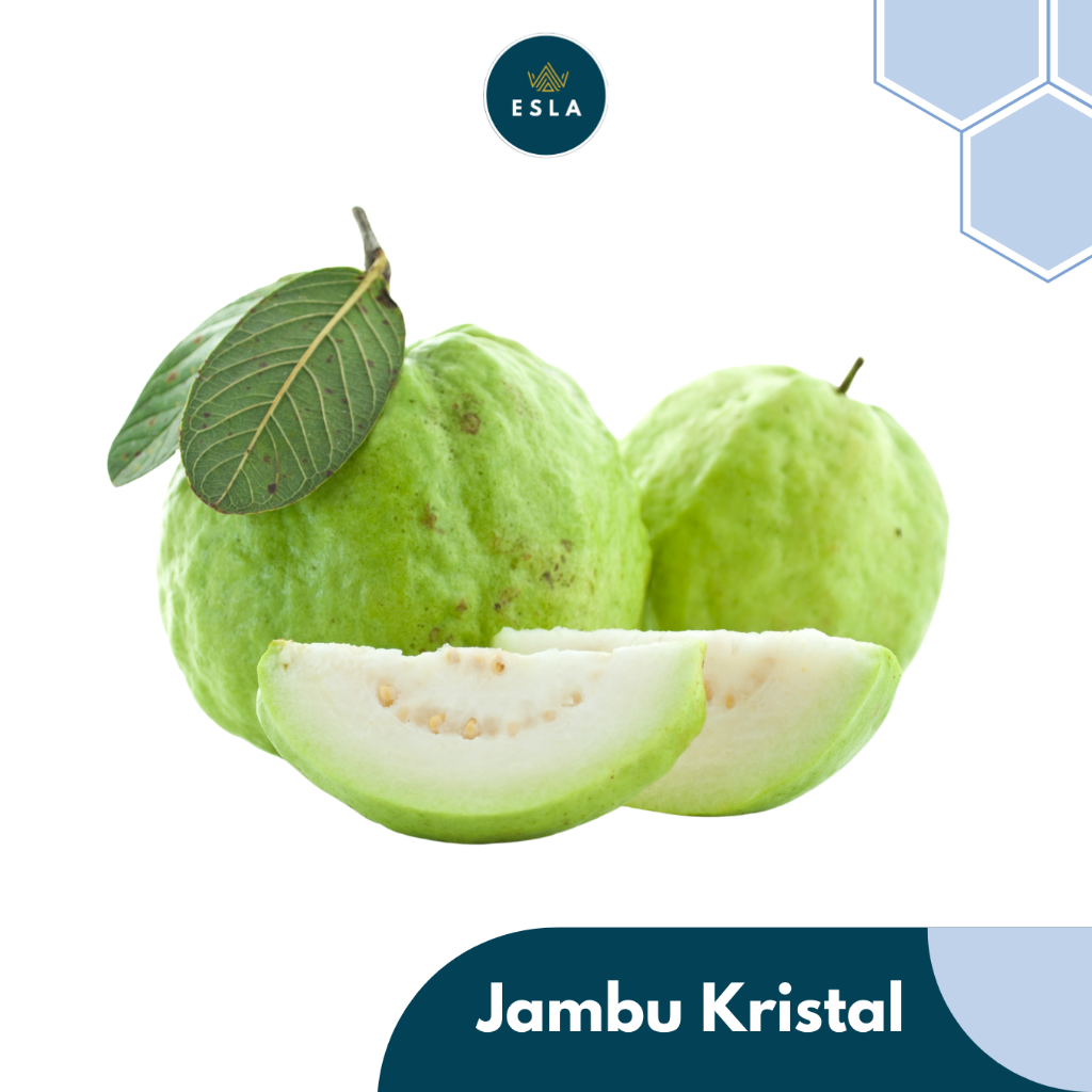 Jual JAMBU KRISTAL 1 KG I Buah Fresh dan Premium - ESLA | Shopee Indonesia
