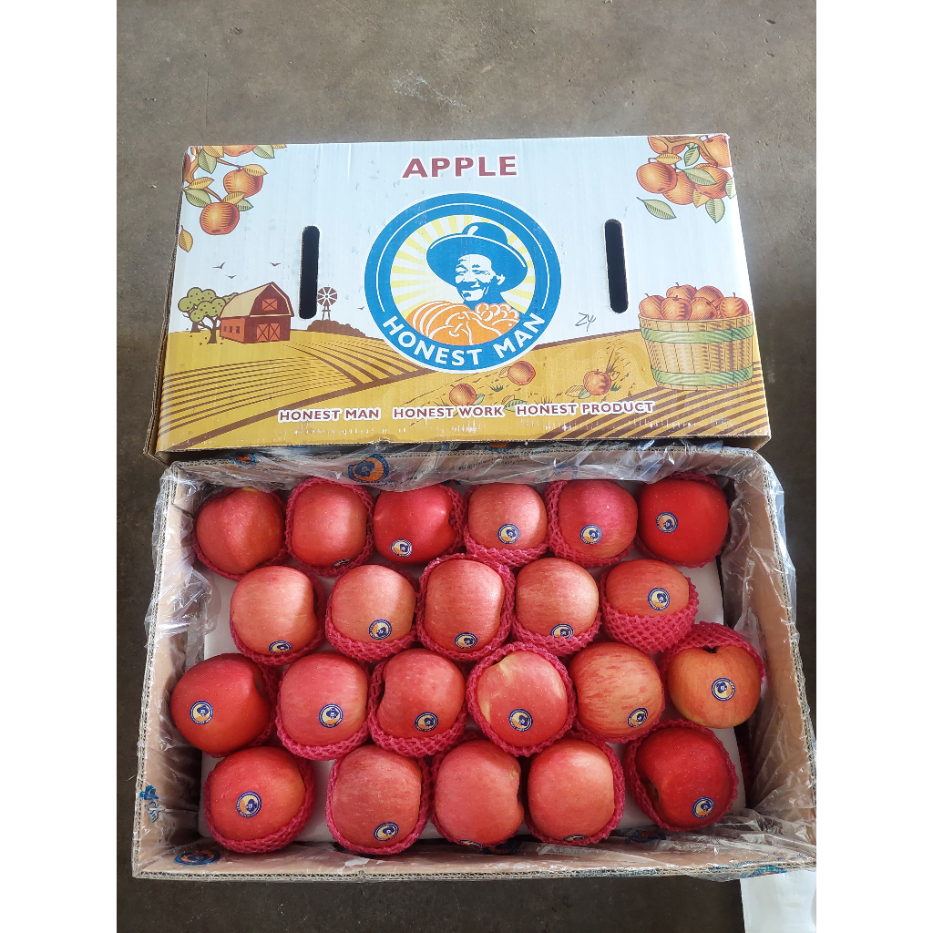 Jual Apel Fuji China (Box) | Shopee Indonesia
