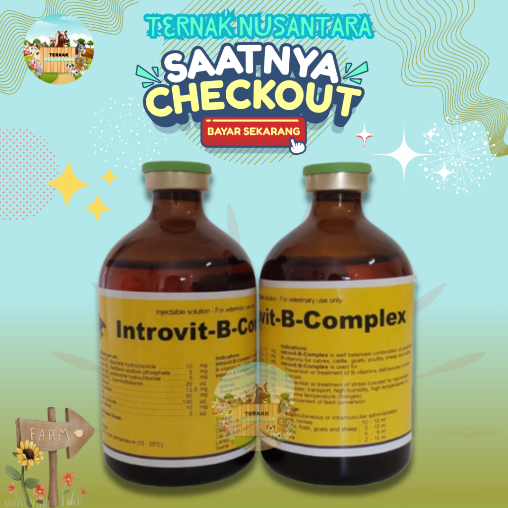 Jual Introvit B Complex 100ml - Multivitamin B Complex Interchemie ...