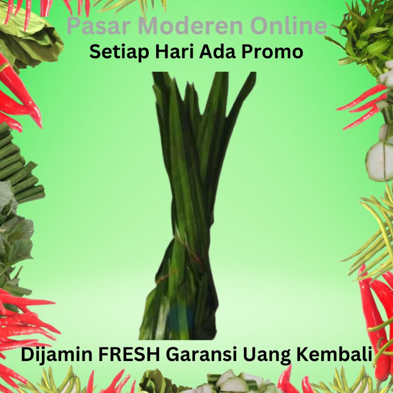 Jual DAUN PANDAN BUMBU DAPUR REMPAH SEGAR PER-IKAT | Shopee Indonesia