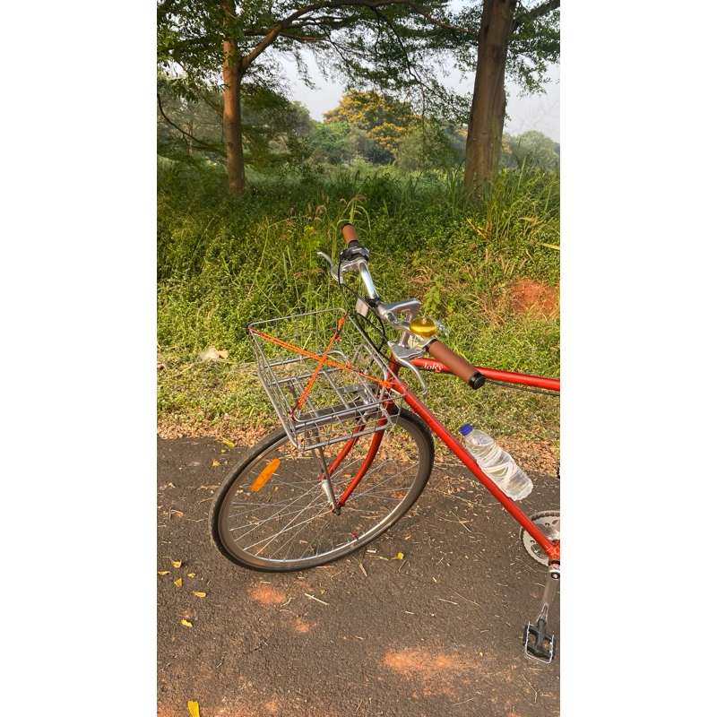 Jual Pasopati Adjustable X Strap Tali Keranjang Sepeda Commuter Bike ...