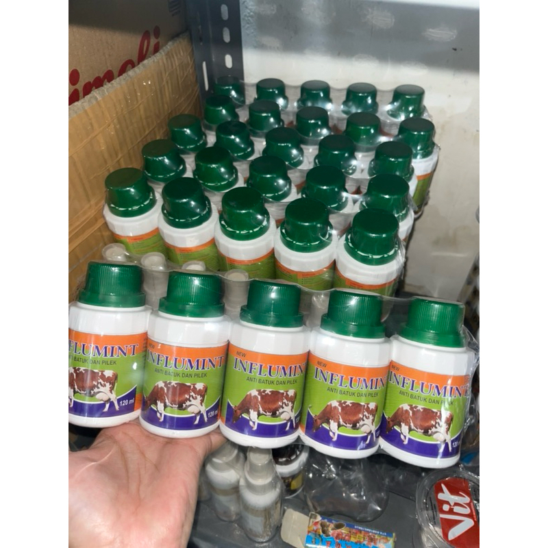 Jual Influmint Obat Batuk kambing Sapi Domba Kerbau obat flu Hewan ...