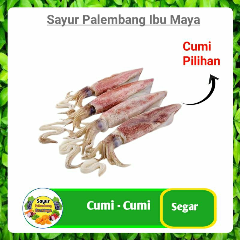Jual Cumi Cumi Segar - Seafood Segar Sayur Online Palembang | Shopee ...
