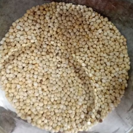 Jual Kacang Arab chickpeas kacang humus kacang oleh-oleh haji umroh ...