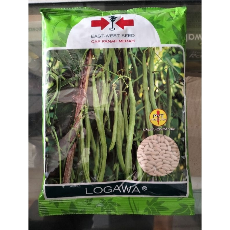 Jual Benih buncis LOGAWA PANAH MERAH 500GR | Shopee Indonesia