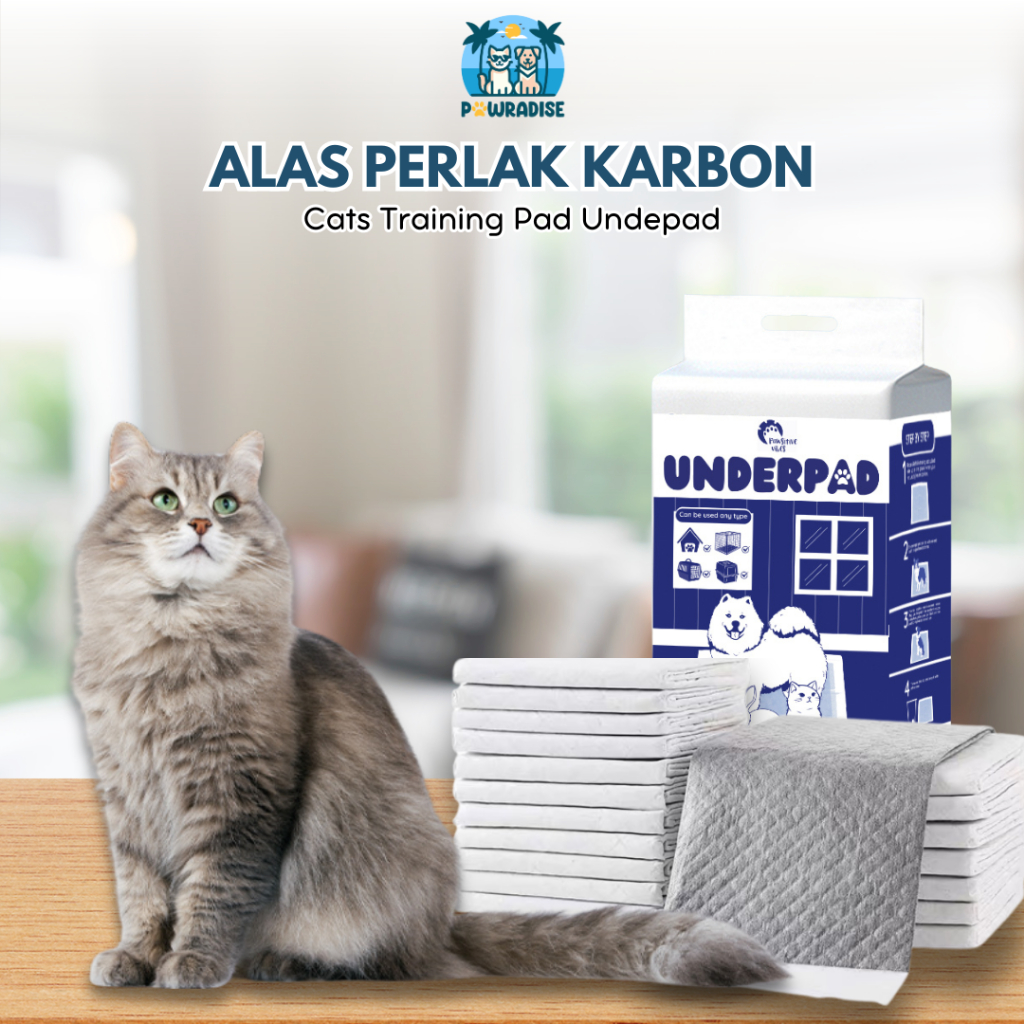 Jual ALAS PERLAK KARBON PEE AND POO ANJING KUCING | DOG CATS TRAINING ...