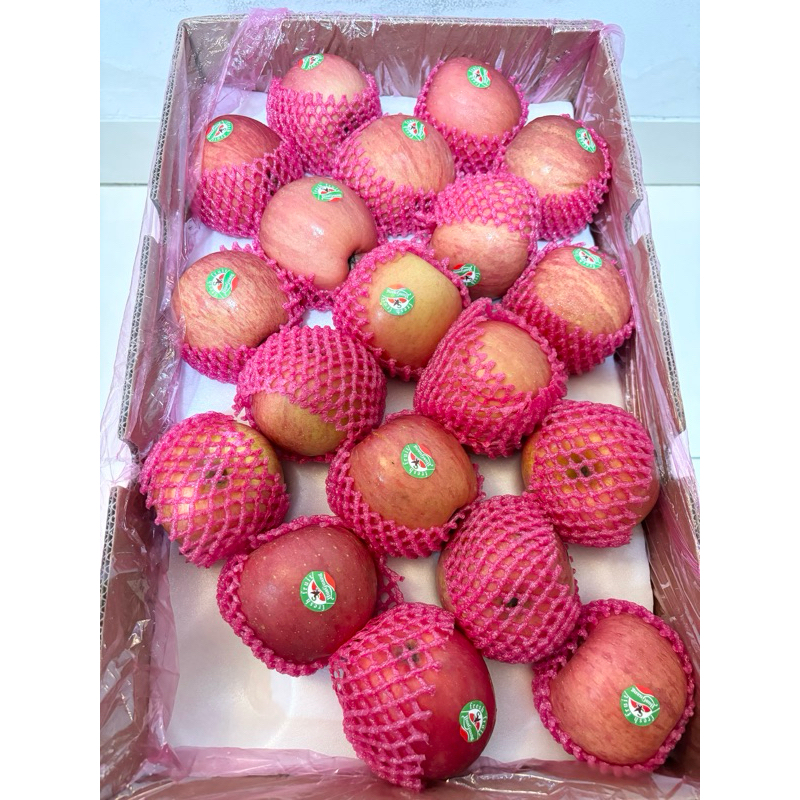 Jual SayurHD Apel Fuji Import China Buah Segar | Shopee Indonesia