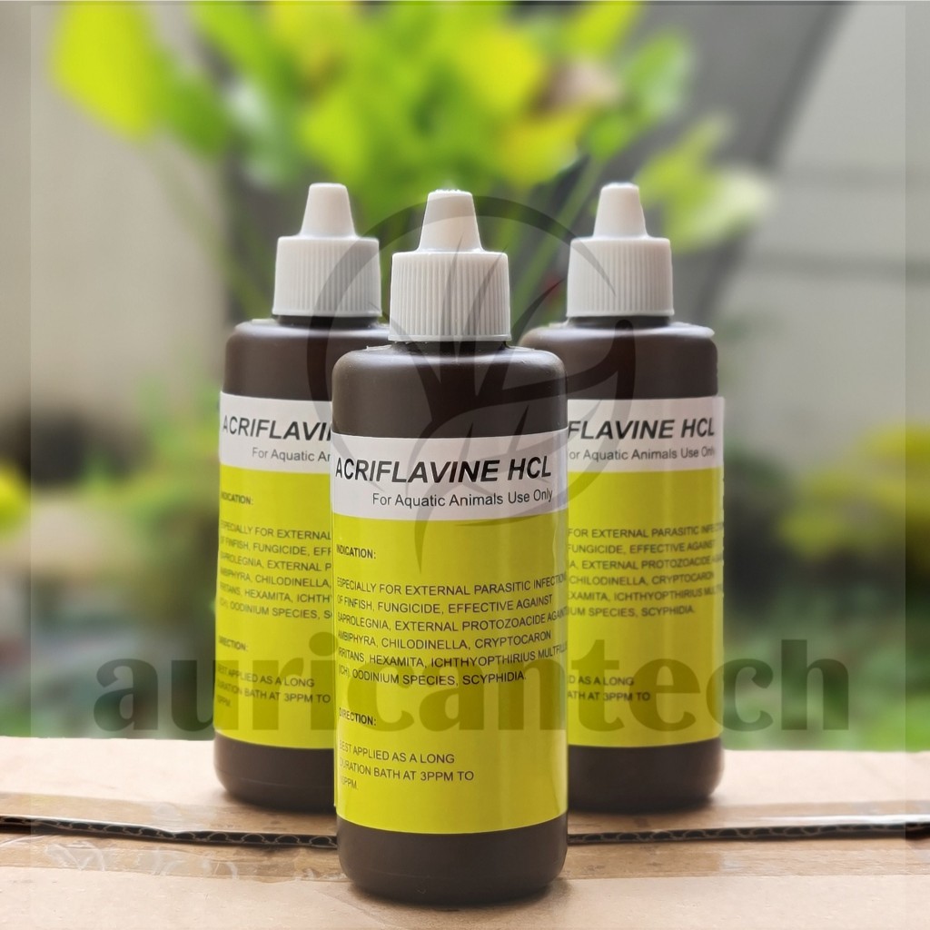 Jual Acriflavine hcl - Obat cair ikan hias - Original | Shopee Indonesia