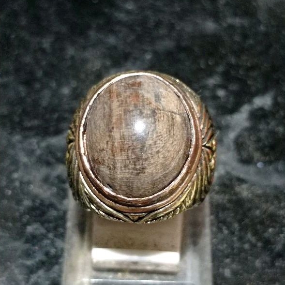 Jual Cincin batu natural fosil kayu setigi stigi bertuah langka bukan ...