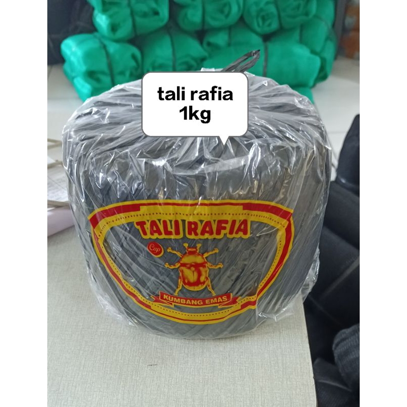Jual tali rafia 1kg tali plastik rapia | Shopee Indonesia