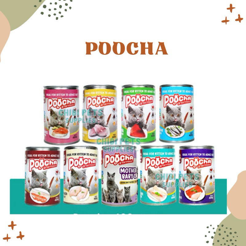 Jual [PROMO]POOCHA KALENG | Shopee Indonesia
