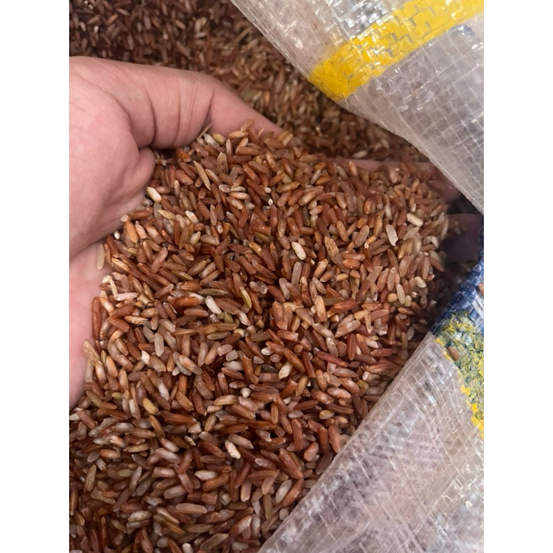 Jual Beras Merah Sehat Premium - tersedia dalam 1kg, 3 kg, dan 5kg ...