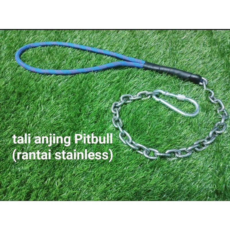 Jual tali rantai anjing Pitbull/Anjing besar | Shopee Indonesia