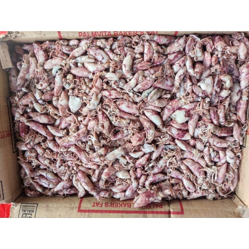 Jual IKAN ASIN BABY CUMI / CUMI ASIN / CUMI REBUS SIZE 1-3CM KEMASAN VACUM 100GR | Shopee Indonesia