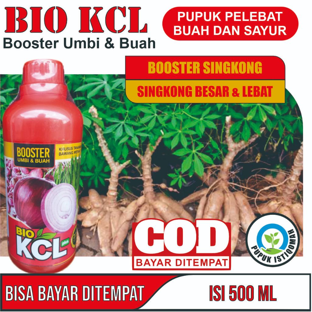 Jual Booster Tanaman dan Buah Pada Singkong Pupuk Organik Semprot ...