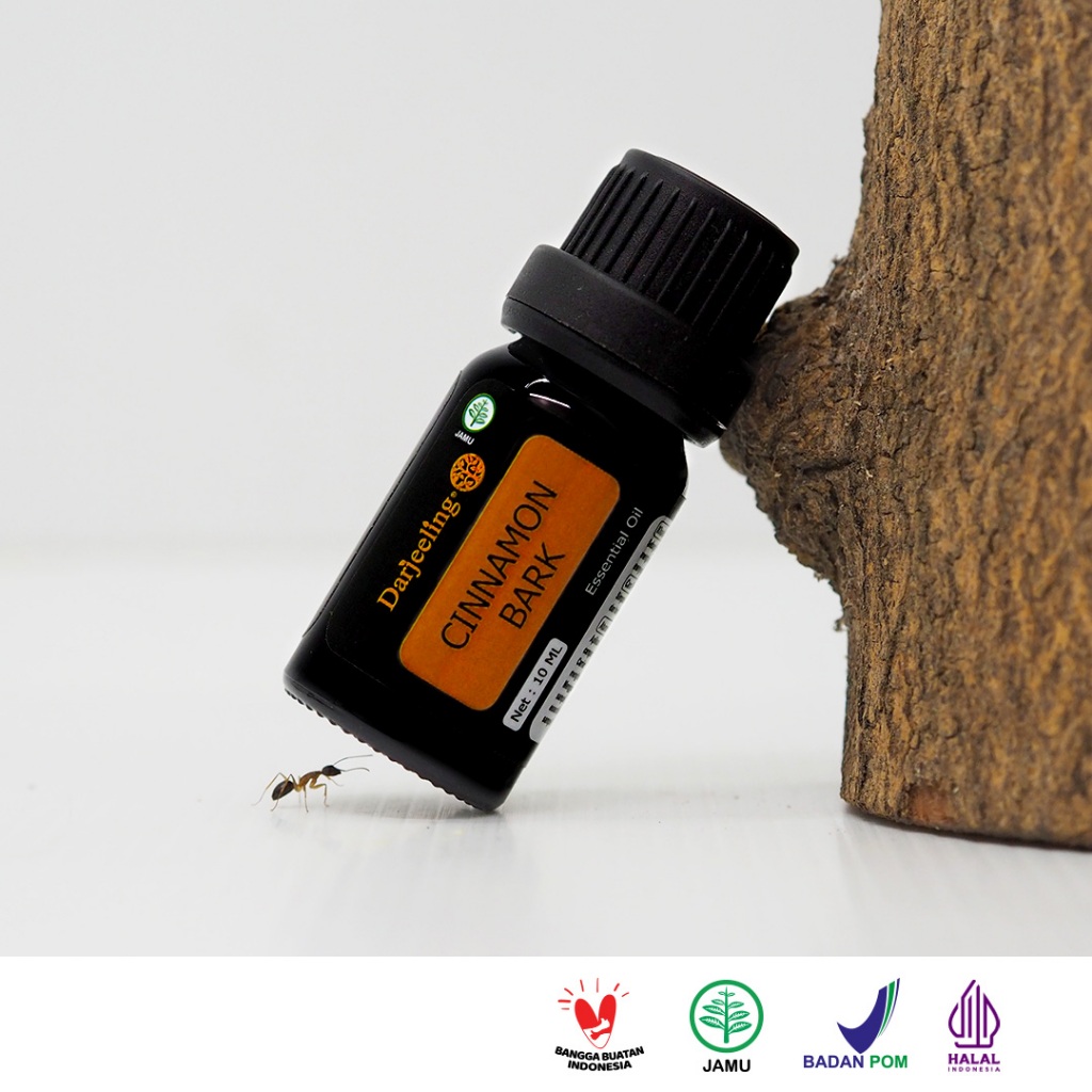 Jual Darjeeling Cinnamon Bark Pure Essential Oil / Minyak Kayu Manis Aromaterapi Therapeutic ...