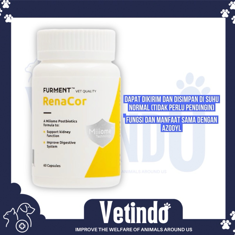 Jual Renacor Suplemen Ginjal Anjing dan kucing pengganti Azodyl /capsul ...
