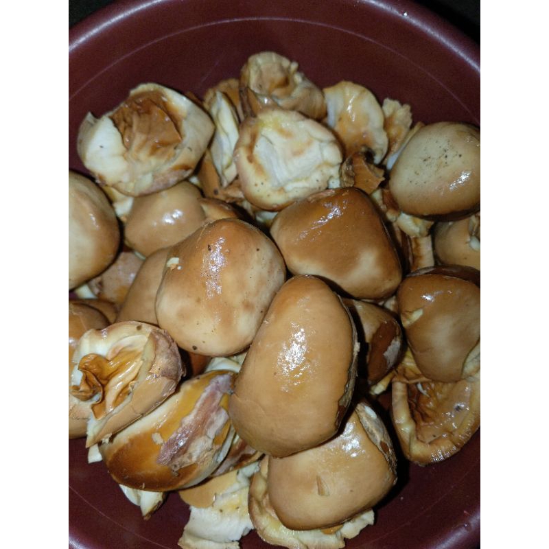 Jual Buah kluwek / buah picung segar-300g | Shopee Indonesia