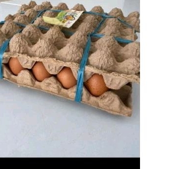 Jual Telur Probiotik Grade B(sedang) | Shopee Indonesia