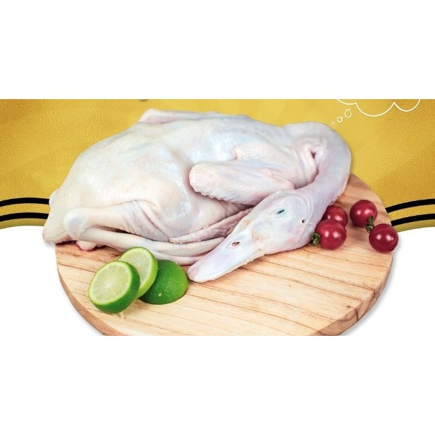 Jual BEBEK PEKING SEGAR HALAL BEBEK FROZEN DAGING MENTAH FRESH per EKOR ...