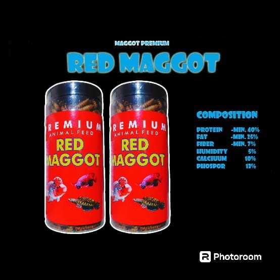 Jual Red Maggot Pakan Ikan Chana Channa Auranti Maru Arwana Magot ...